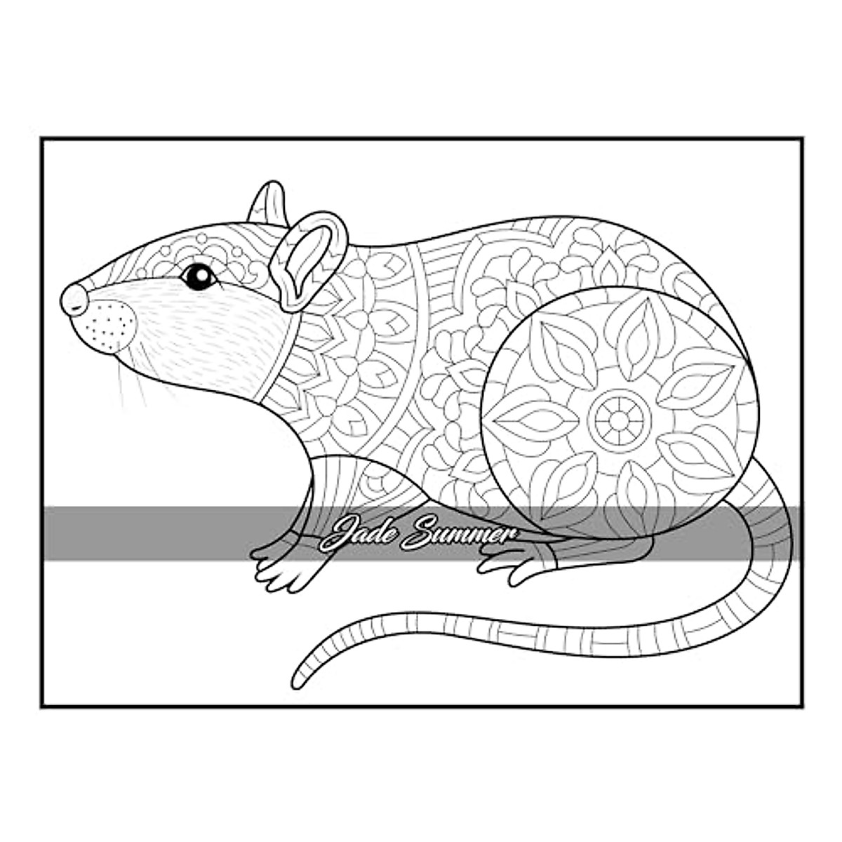 100 Animals: An Adult Coloring Book with Lions, Elephants, Owls, Horses, Dogs, Cats, and Many More!