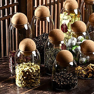 MOLADRI 1200ML/40Oz Clear Glass Storage Cute Canister Holder Ball Wood Cork Top, Modern Decorative Cylinder Container Jar with Round Lid for Coffee, Spice, Candy, Salt, Cookie Cool Terrarium Bottle