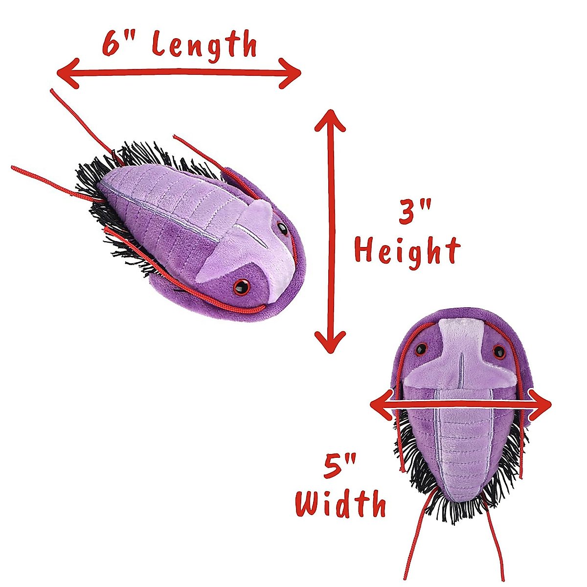 GIANT MICROBES Fuzzy Fossils Trilobite Plush - Learn About Fossils and Prehistoric Creatures, Unique Gift for Family, Friends, Scientists, Nature Lovers and Dinosaur Fans