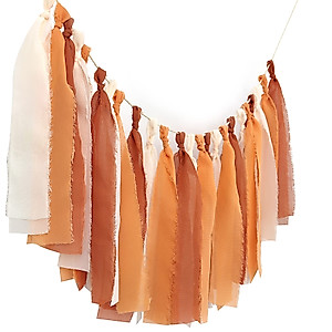 Mybbshower Chiffon Tsaasel Garland for Burnt Orche Coral Peach Orange Wedding Tea Party Hanging Party Decorations Birthday Bridal Baby Shower