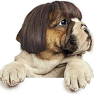 DooMase Funny Pet Clothing Pet Wig Pet Halloween Special Events Costume for Dog & Cat (Flaxen Wig, One Size)
