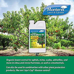 Monterey LG 6299 Horticultural Oil Concentrate Insecticide/Pesticide Treatment for Control of Insects, 32 oz