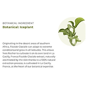 Yves Rocher S?rum V?g?tal Wrinkles & Firmness Plumping Day Care Face Moisturizer ? 1.7 Oz ? 1 Ct