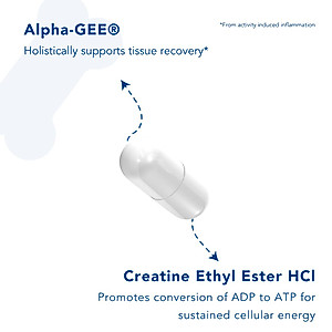 CANINE ACTIV - Dog Joint Pain Relief Activity-Induced Capsules, Dog Joint Supplement Large Breed, Hip and Joint Supplement, Dog Joint Pills for Fast Relief from Activity-Induced Pain - 90 Ct