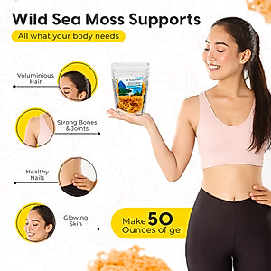 Certified Wild Harvested Gold Irish raw Sea Moss from St.Lucia,Makes 165 oz gel, Dr.Sebi Grade,Wild Harvested Powerful Antioxidants,Vitamins,Minerals and Nutrients All Natural,4 Ounce (Pack of 1)