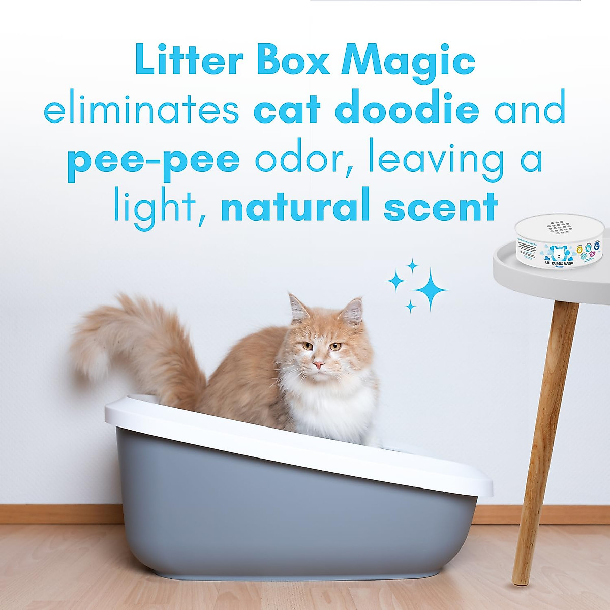 Litter Box Magic Cat Litter Deodorizer Jar (Fresh Scent, 16 Oz, Pack of 1) - Cat Litter Odor Absorber Gel In A Jar - Litter Box Pet Air Freshener - Litter Odor Eliminator to Freshen Air