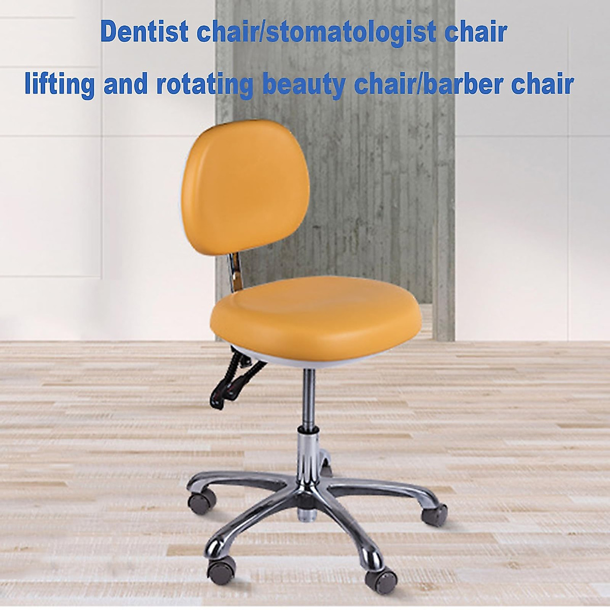 SFKLYU Dental Chair Adjustable Doctor's Stool Assistant Chair with Backrest PU Leather,D,S