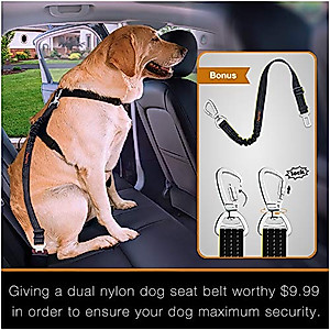 iBuddy Dog Car Seat Covers for Back Seat of Cars/Trucks/SUV, Waterproof Dog Car Hammock with Mesh Window, Side Flaps and Dog Seat Belt, Durable Anti-Scratch Nonslip Machine Washable Pet Car Seat Cover