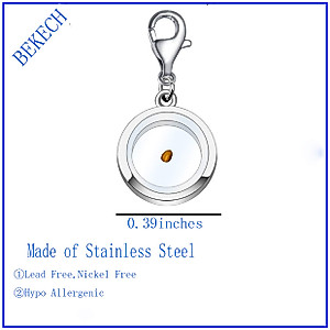 BEKECH Faith Mustard Seed Charm Zipper Pull Clip On Gift for Religious Men Women Faith Jewelry Gift Christian Gift for Faithful Men Women Graduates (silver stainless steel)