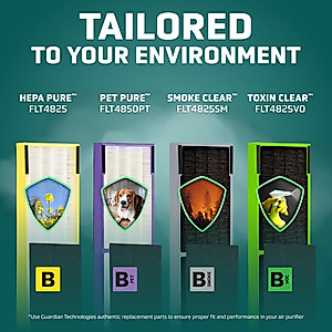 Germ Guardian FLT4825 HEPA GENUINE Air Purifier Replacement Filter B for GermGuardian AC4300BPTCA, AC4900CA, AC4825, AC4825DLX, AC4850PT, CDAP4500BCA, CDAP4500WCA and More, 1-Pack , Gray