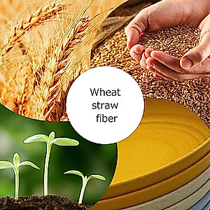 Yemyep Wheat Straw Plates 9 Inch Dinner Plates Set of 8, Microwave&Dishwasher Safe, Unbreakable Plastic Plates, Reusable, Lightweight Plates for kitchen, camping, Party(Beige)