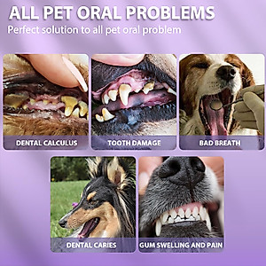 Pet Oral Repair Gel,Pet Oral Restoration White Gel,Pet Breath Freshener Gel No Brushing Oral Care Cleaner，Easy Teeth Cleaning Gel for Dogs & Cats,3ML (3box,6pcs)