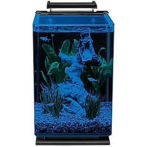 Marineland Portrait Glass LED Aquarium Kit, 5 Gallons, Hidden Filtration,Black