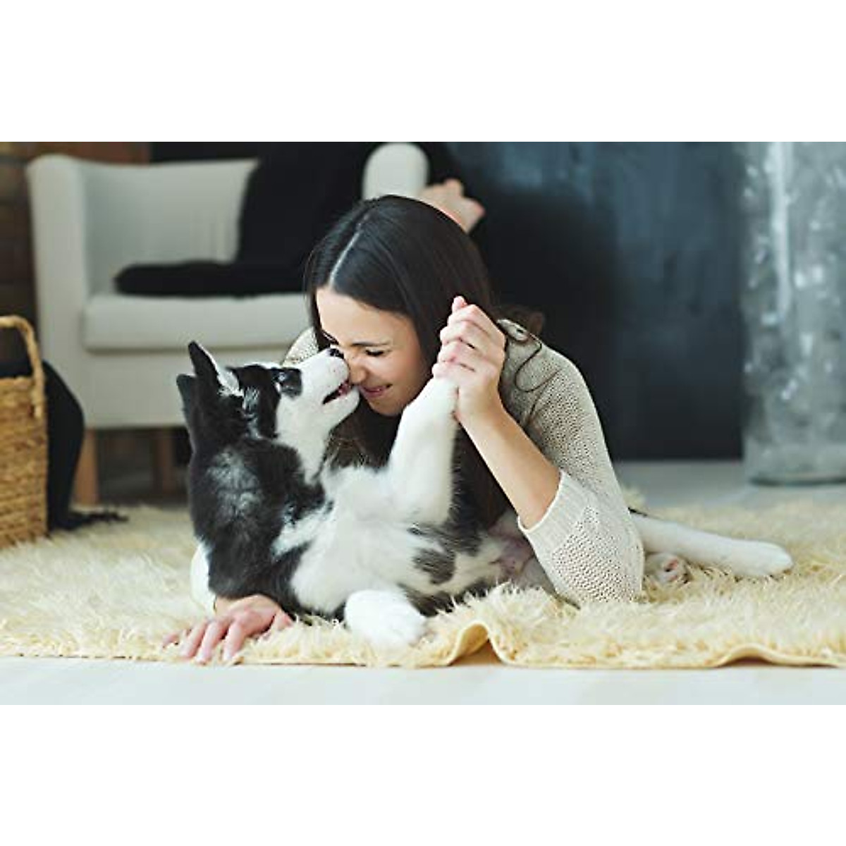 NutriChomps Dog Chews, 6-inch Braids, Easy to Digest, Rawhide-Free Dog Treats, Healthy, Real Chicken, Peanut Butter and Milk flavors, Pack of 4