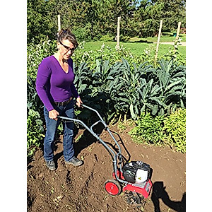 GardenTrax 4 Cycle Mini Cultivator