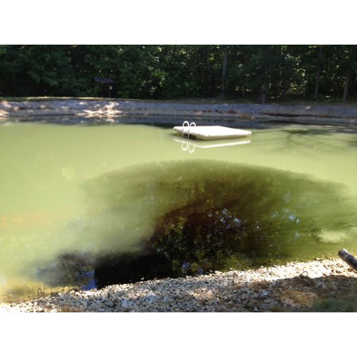 Sanco Industries Pond Dye - Black Individual Water Soluble Packet - 1 Pack Treats 1/4 Acre