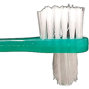 Vakly Denture Brush [Pack of 10] Individually Bagged Denture Brushes with Hard Firm Flat Bristled Heads for Cleaning Dentures, Retainers, False Teeth, Clear Braces, and Mouth Guards