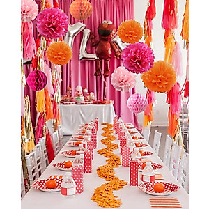 15PCS Hot Pink Orange Party Decorations Tissue Paper Flowers Pom Poms Honeycomb for Girl Groovy Birthday Baby Shower Wedding Bachelorette Summer Flamingo Party Nursery Wall Hanging Décor