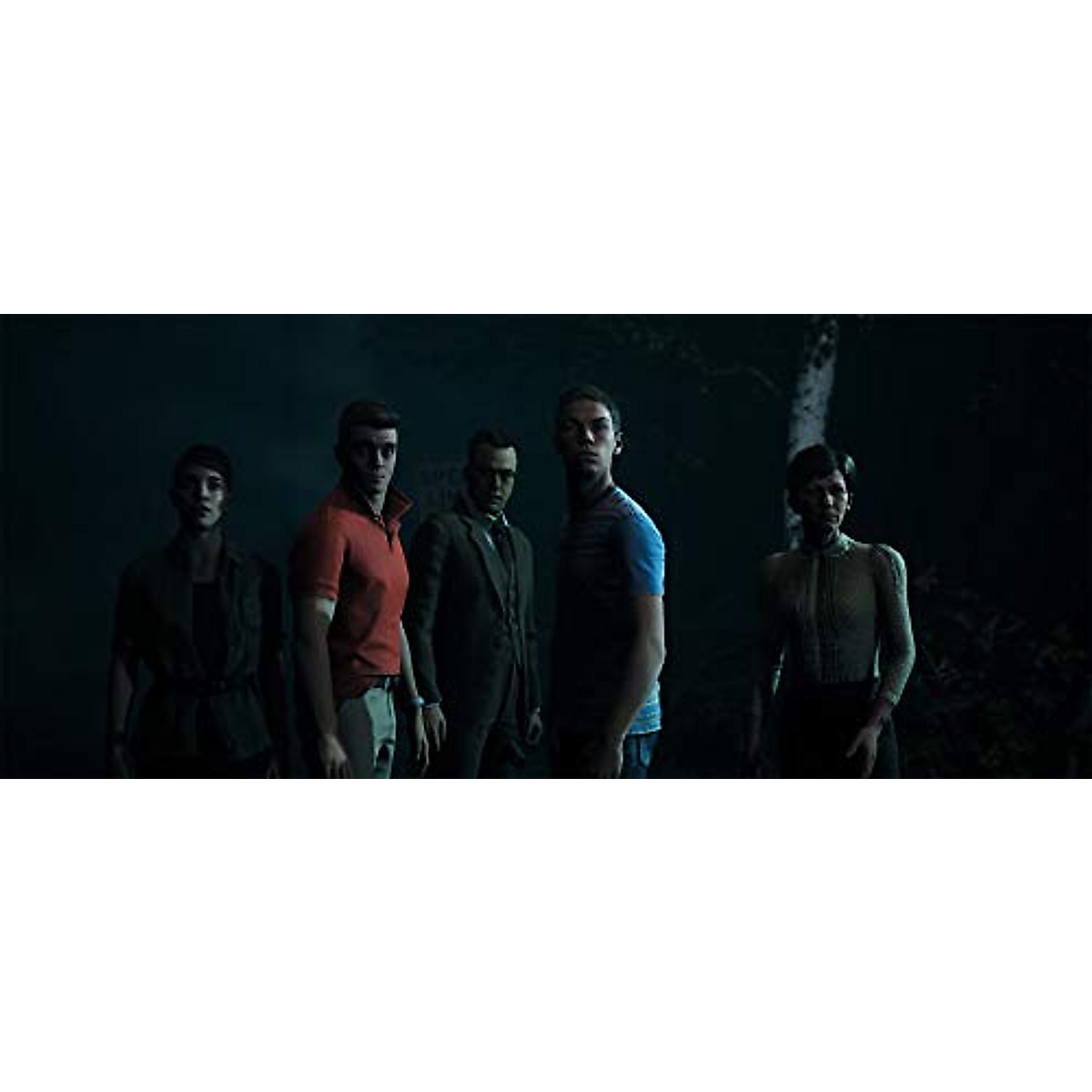 The Dark Pictures Anthology: Little Hope (PS4)