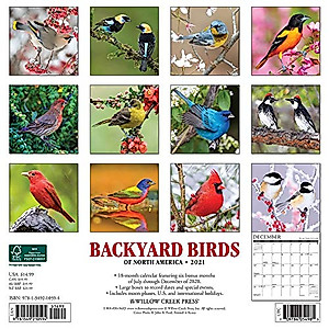 Backyard Birds 2021 Wall Calendar
