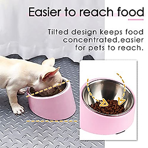 SuperDesign Mess Free 15° Slanted Bowl for Dogs and Cats, Tilted Angle Bulldog Bowl Dog Feeder, Non-Skid & Non-Spill, Easier to Reach Food S/0.5 Cup Pink