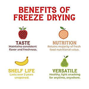 Nature's Turn Freeze-Dried Fruit Snacks, Strawberry Crisps, Pack of 6 (0.53 oz Each)