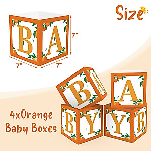 Sinasasspel Little Cutie Baby Shower Decorations Orange Party Centerpieces Boxes Clementine Baby Block with Letters Birthday Party Floral Table Display Gender Reveal Party Favors for Boys and Girls