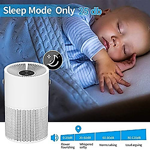 Air Purifier for Home Large Room Pets and Dust Portable Air Purifiers for Dorm Room with True HEPA Filter Effectively Remove 99.97% of Dust Smoke Dander Pollen Odors(USB Charging)