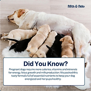 Dog Prenatal Vitamins - Prenatal Vitamins for Dogs - Prenatal Kit for Pregnant Dogs with Iron, D3 and Folic Acid - Prenatal Dog Vitamins to Enhance Recovery and Milk Production for Nursing Puppies