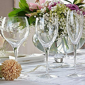 Luigi Bormioli Michelangelo Gold White Wine Stem 12.75oz, Set of 4, 4 Count (Pack of 1),