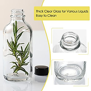 10 Pack, 4 oz Small Clear Glass Bottles with Lids & 3 Stainless Steel Funnels - 120ml Boston Round Sample Bottles for Potion, Juice, Ginger Shots, Oils, Whiskey, Liquids - NO Leakage