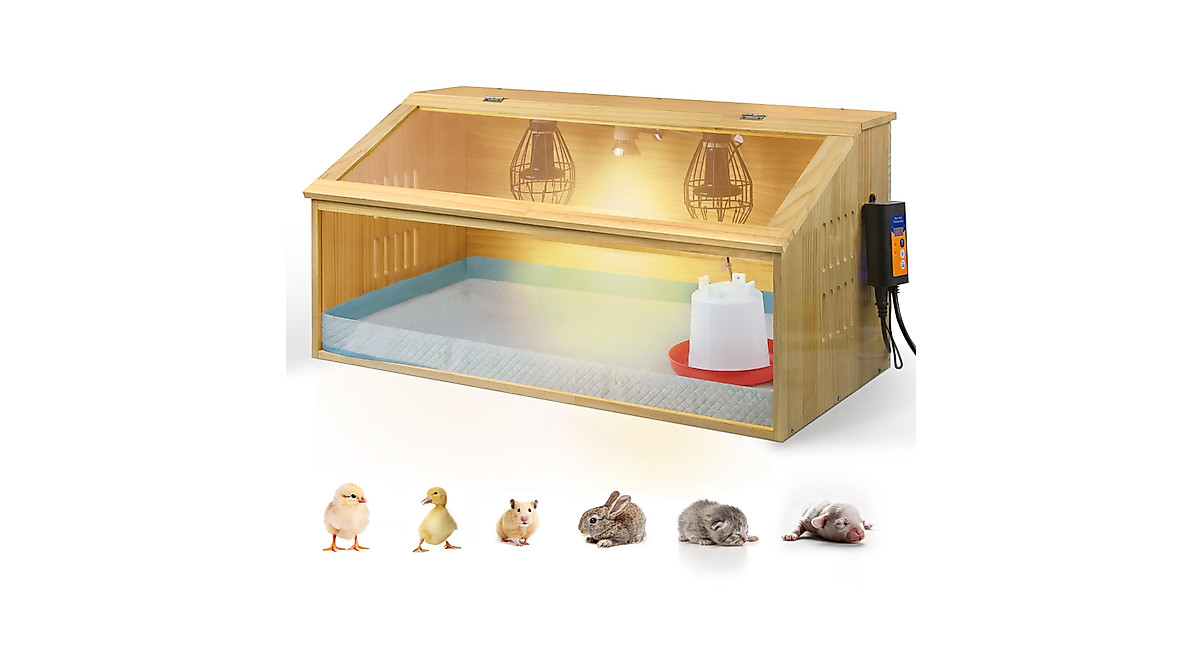 EVERYGROW Intelligent Brooder Box for Chick & Small Animals - Warm & Safe