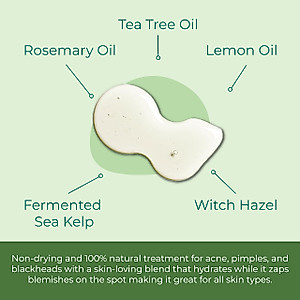 Sea El Kelp Blemish Stick Skincare Pimple Blackhead & Acne Spot Treatment Witch Hazel Rosemary & Tea Tree Oil Serum & Skin Toner for Women & Men, All Skin Types - .33 oz