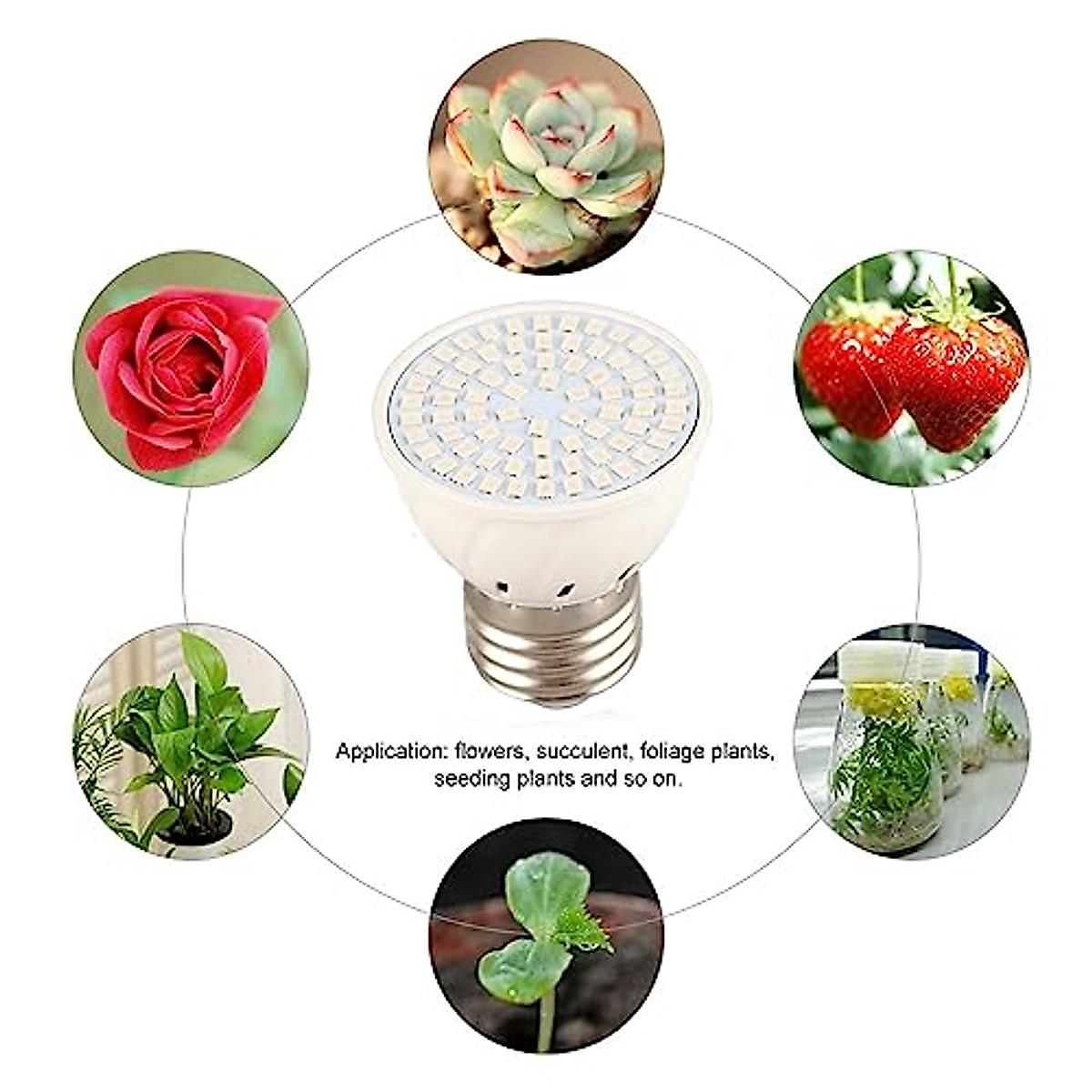 Full Spectrum Grow Light, 36W LED Grow Light Bulb -52 Red + 20 Blue AC220V 72 LEDs SMD2835 Plants LED Lamp Bulbs for Small Grow Box, Grow Tent, DIY Hydroponics, Bonsai, Garden etc