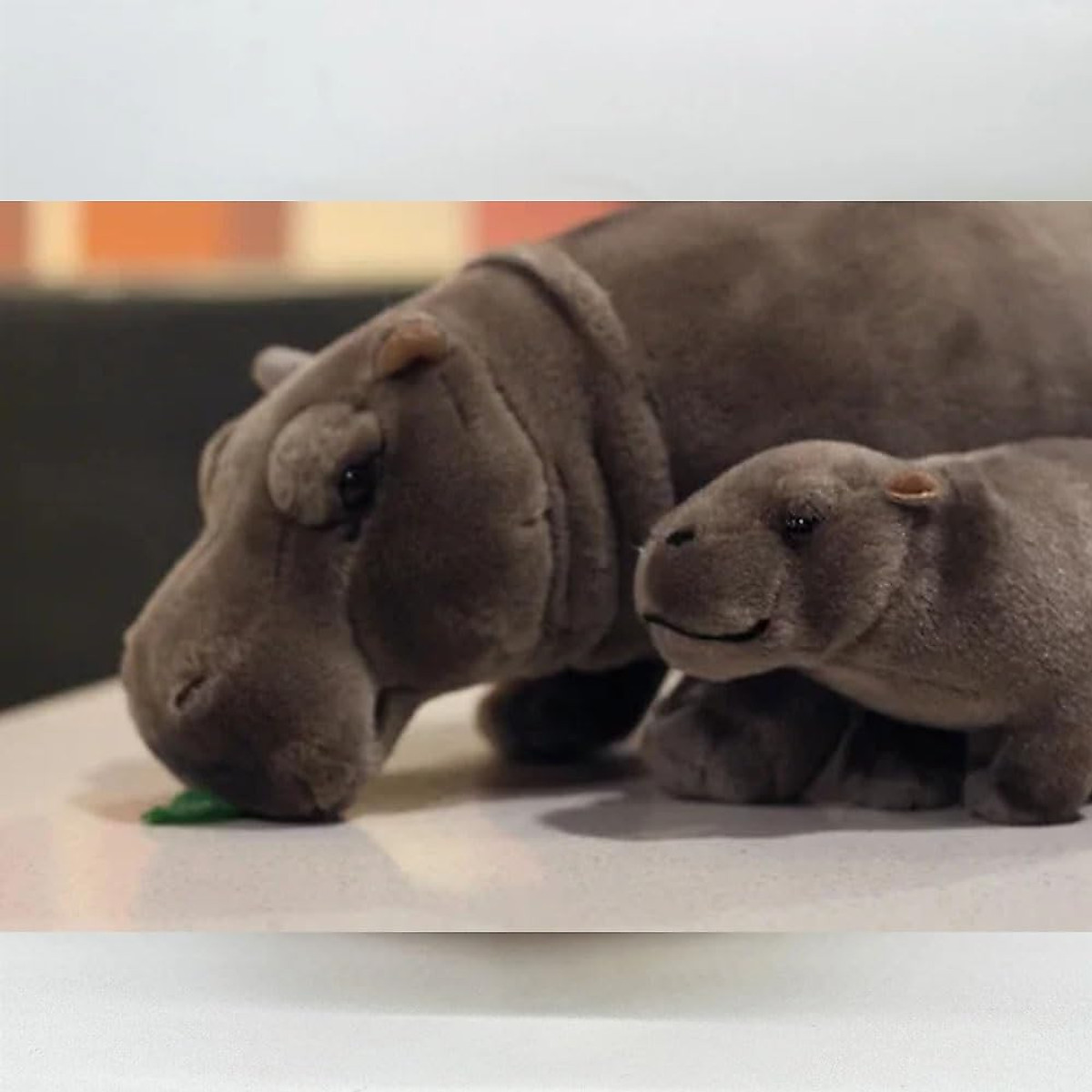 Moo Deng Hippo Plush, 2024 Moodeng Plush Toys, Cute Pygmy Hippo Soft Plushie Toy for Fans, 16" Hippopotamus Plushie Doll, Stuffed Animals Pillow for Kids Fans Christmas Birthday GiftMoo deng