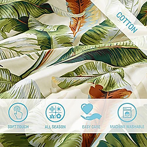 Tommy Bahama - Queen Comforter Set, Cotton Sateen Bedding with Matching Shams & Bedskirt, Home Decor for All Seasons (Palmiers Green, Queen)