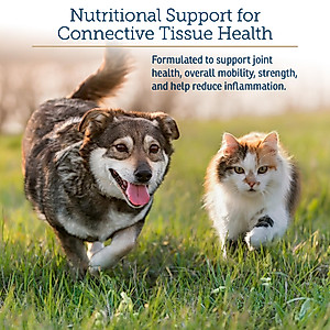 Rx Vitamins NutriFlex for Cats & Dogs - Glucosamine for Dogs Hip and Joint Supplement - with Bovine Collagen and Chondroitin - Joint Pain Relief & Anti Inflammatory for Dogs - Beef Liver (90 Chews)