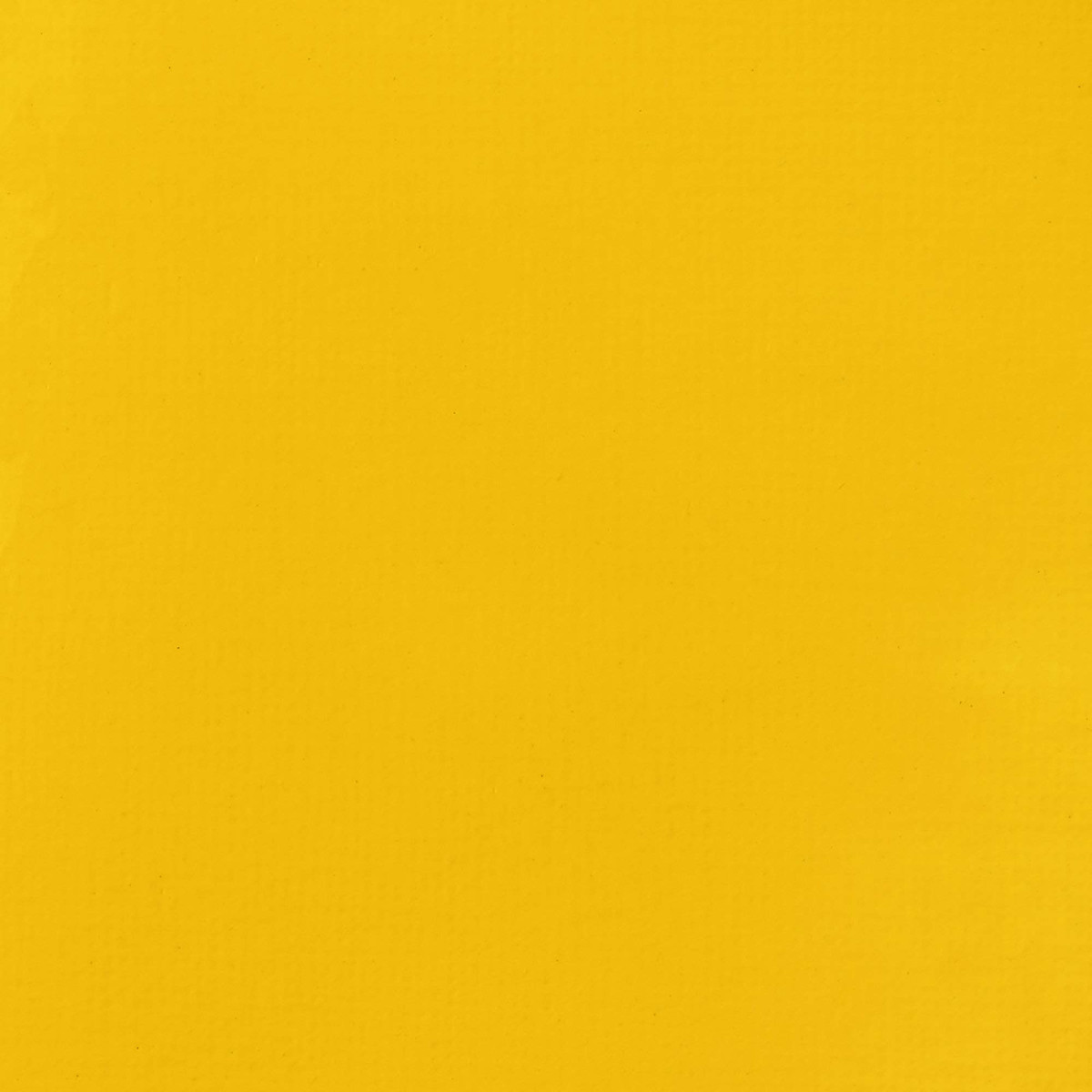 Liquitex BASICS Acrylic Paint, 118ml (4-oz) Tube, Primary Yellow