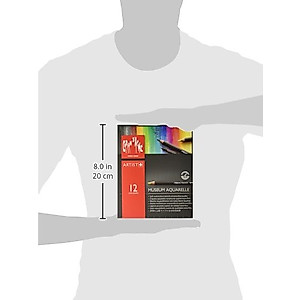 Caran D'ache Museum Aquarelle Pencil Sets Museum Intro set of 12 colours (3510.312)
