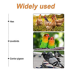 Chicken Chicken roosting Bars Perch Bird Parrot Wooden Stand Ladder Roosting Bars Paw Grinding Toy for Hens Poultry Run Rooster Cock Chicken Wood Stand Macaw Chicken coop Perch