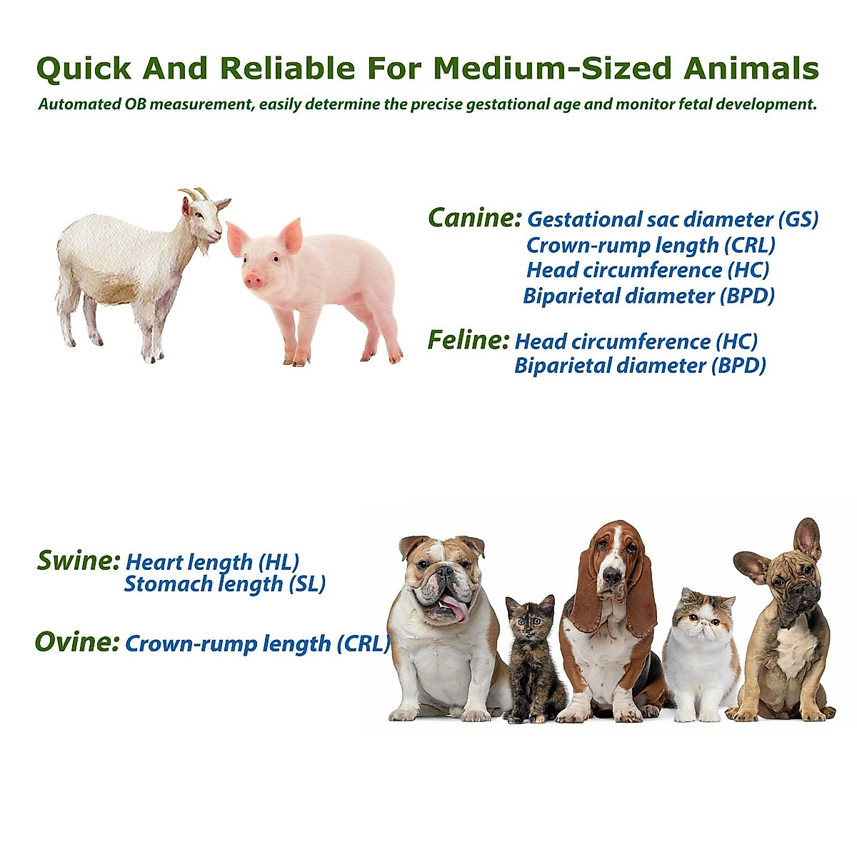 Dawei Vet Ultrasound Machine Portable Veterinary Handheld Scanner B-Ultra Sound with 3.5MHz Probe for pregnancy Pig,Sheep,dog,cat use