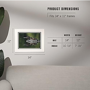 Lantern Press 11x14 Inch Matted Art Print Wall Decor, Loon and Chick