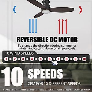 Ceiling Fan with Lights, Indoor & Outdoor Ceiling Fan，48" Low Profile DC Smart Ceiling Fan Works with Alexa, Siri, Google Home & Smart APP, 2 Colors of Reversible Blades, Dark Walnut & Light Wood