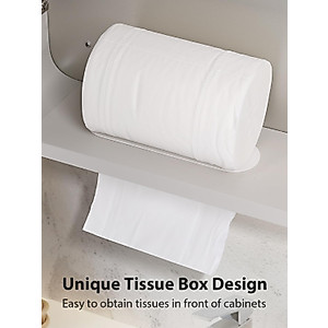 Avidanza Medicine Cabinets with Mirror for Bathroom, 24 Inch Surface Wall Mounted Bathroom Mirror with Storage, Stainless Steel Framed Beveled Mirror, with Double Door and 3 Tier, Grey