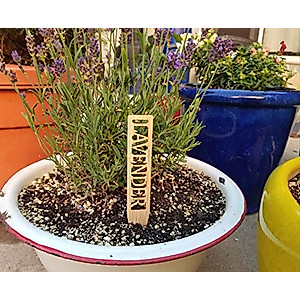 Boldernest Bamboo Herb Garden Markers - Set of 12 Beautiful Herb Garden Labels - Sturdy Herb Markers for Outdoor Garden or Potted Herbs - Lovely Herb Garden Signs