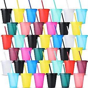 Potchen 60 Pack Plastic Cups with Straws and Lids Reusable Kids Tumbler with Straw Water Bottle Iced Coffee Travel Mug Cup Adults Plastic Cups 16 oz for Parties