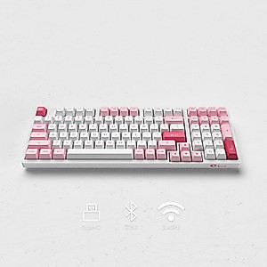 Akko Prunus Lannesiana 3098 98-Key RGB Hot-swappable Mechanical Gaming Keyboard, 2.4G Wireless/Bluetooth/Wired with PBT Double-Shot Keycaps for Mac & Win (3098B, Jelly Blue Switches)