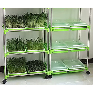 JMESTOHP 3 Layers Seed Sprouting Kit for Seed Sprouter Tray BPA Free for Alfalfa Sprouts Wheatgrass Grower Sprouting, Stainless Steel Shelf for Seed Sprouting Tray