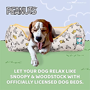 Peanuts for Pets Snoopy & Woodstock Cuddler Dog Bed in Beige | Elevated Dog Bed With Raised Rim | Plush and Comfortable Machine Washable Dog Bed for All Dogs, 24" x 19" x 8"