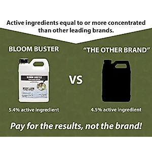 Bloom Buster Algae Control for Fish Ponds & Water Gardens - 32 Ounces - Safe for Koi Fish, Goldfish & Plants - Controls Algae in Ponds & Water Features, EPA Registered